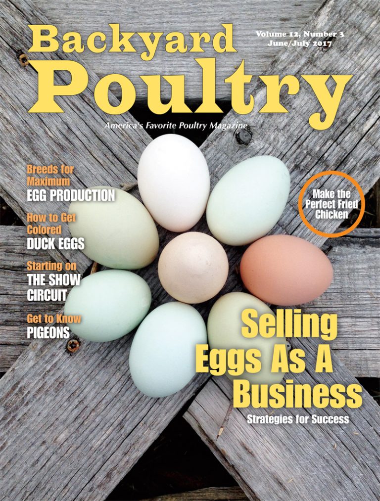 Backyard Poultry June/July 2017 - Backyard Poultry